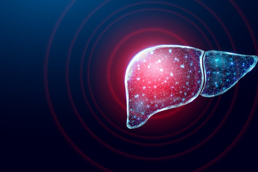 MAESTRO-NASH: Durchbruch bei Leberfibrose